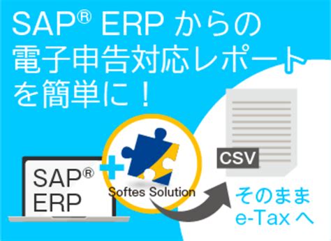 Sap R 利用企業向け「法人税等電子申告対応レポート 財務諸表・勘定科目内訳明細書 」の販売を2月21日に開始！｜株式会社ソフテスのプレスリリース