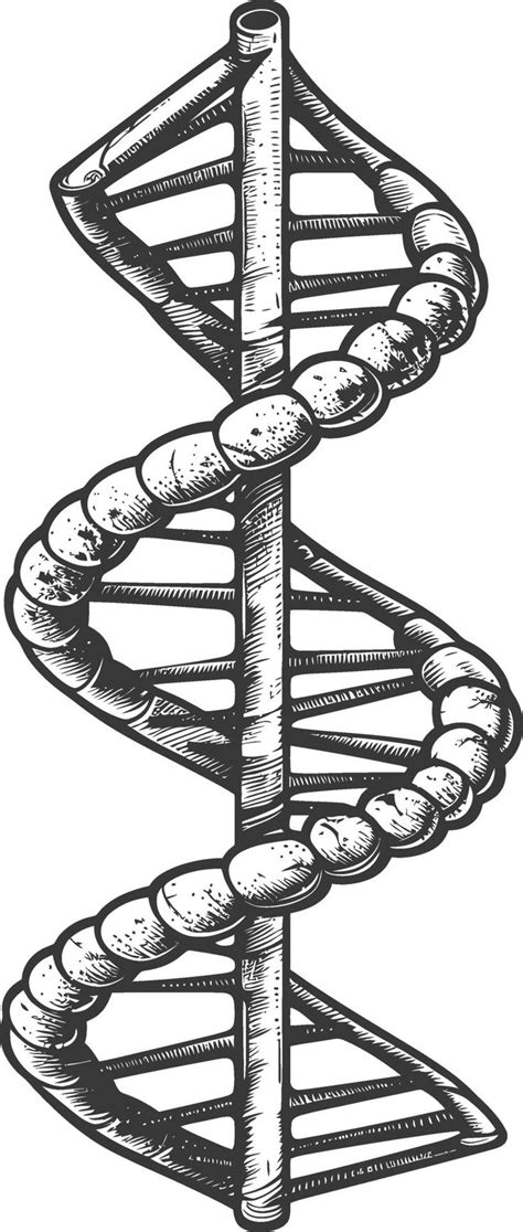 Gene Dna Mutation Symbol With Engraving Style Black Color Only 46012149