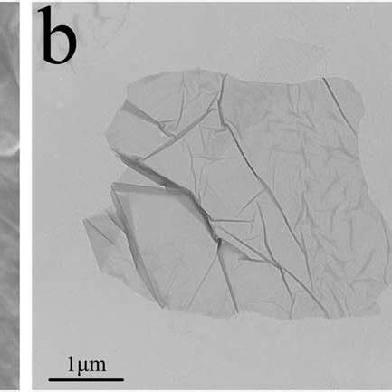 Characterization Of GO A SEM Image Of GO B TEM Image Of GO C Download Scientific