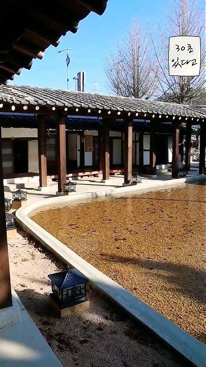 요새 부산에서 제일 핫한 돼지고기집 Youtube