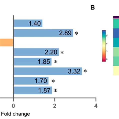 Comparison Of The Mrna Expression Level Of The Six Genes Included In