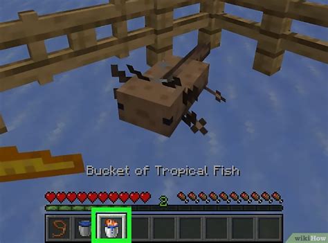 How To Breed Axolotls In Minecraft A Beginner S Guide
