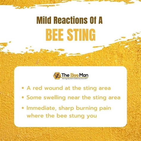 Understanding Bee Stings