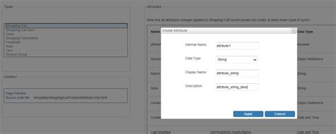 Adding Custom Attribute