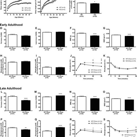 Low Body Weight Increased Growth Rate And Altered Body Composition In
