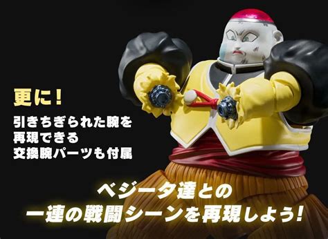 Shf Z