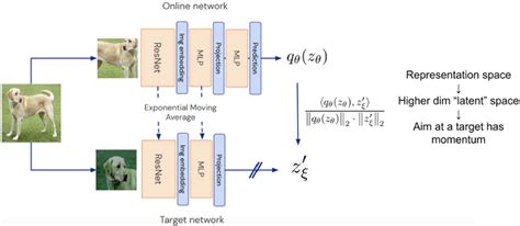 论文解读（byol）《bootstrap Your Own Latent A New Approach To Self Supervised