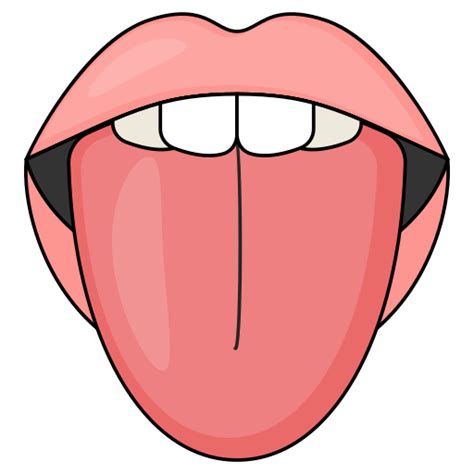 Tongue Generic Thin Outline Color Icon