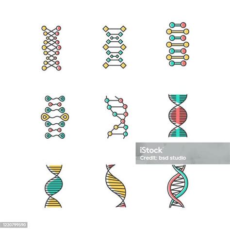 Dna 雙螺旋顏色圖示設置去氧核糖核酸 核酸結構螺旋鏈染色體分子生物學遺傳密碼基因組遺傳學醫學隔離向量插圖向量圖形及更多互聯網圖片 Istock