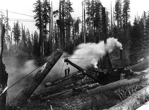 Washington Logging 1918 Photograph By Granger Fine Art America