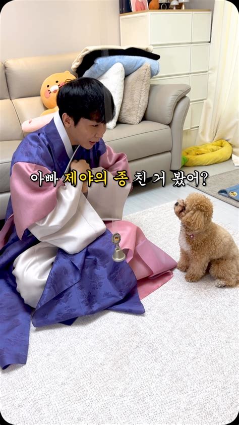 원샷한솔 시각장애인 아빠 위해 이불 접는 강아지 시각장애인 아빠 강아지 토리 이불접기 효녀 환상의콤비 원샷한솔 Instagram