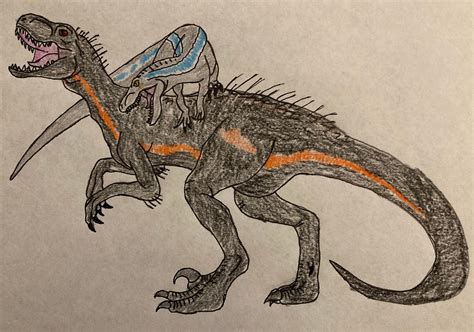 Indoraptor Vs Velociraptor Blue By Drawasaurus04 On Deviantart