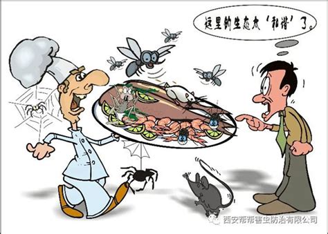 西安灭老鼠西安灭蟑螂西安除四害灭蚊蝇公司西安帮帮害虫防治有限公司