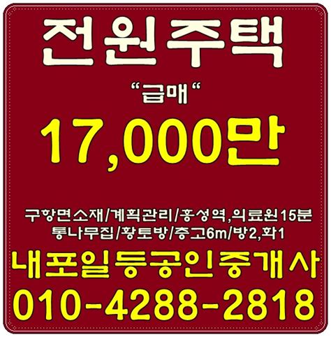 Daum 카페