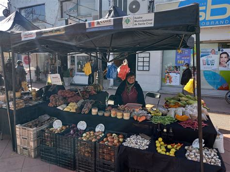 Indap Implementará Este Año Tres Nuevos Mercados Campesinos En La