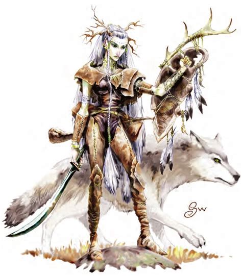 Deep Dive Druid Class — Dump Stat Adventures