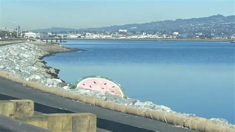 Watermelon Rock Resurfaces Along Shoreline After Mysterious