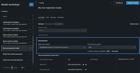 View And Manage A Custom Models Environment Datarobot Docs