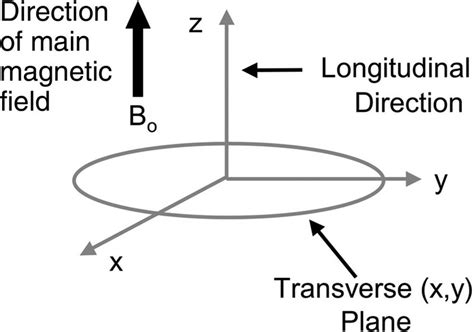 Longitudinal Magnitization Pooley 2005 Download Scientific Diagram