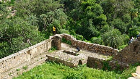 Cadaverous Bilder Durchsuchen 191 Archivfotos Vektorgrafiken Und