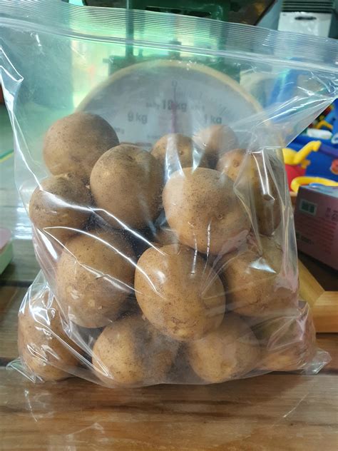 포시즌딸기체험농장 동네업체