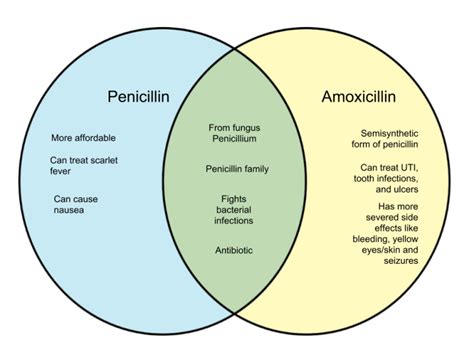 Difference Between Penicillin And Amoxicillin WHYUNLIKE COM