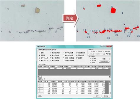 particle analysis software g s measure manufactured by ns technology