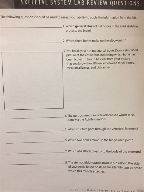 Solved Skeletal System Lab Review Questions The Following Chegg