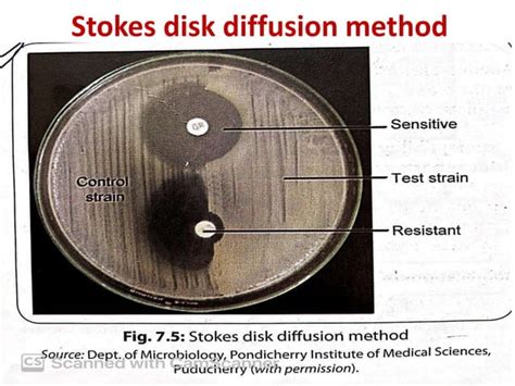 Antimicrobial Susceptibility Testing Ast Pptx