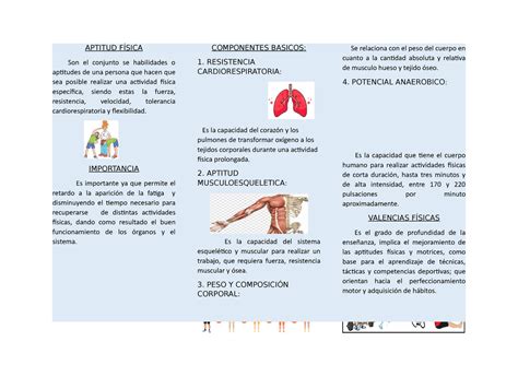 Aptitud Física Documento Aptitud FÍsica Son El Conjunto Se Habilidades O Aptitudes De Una