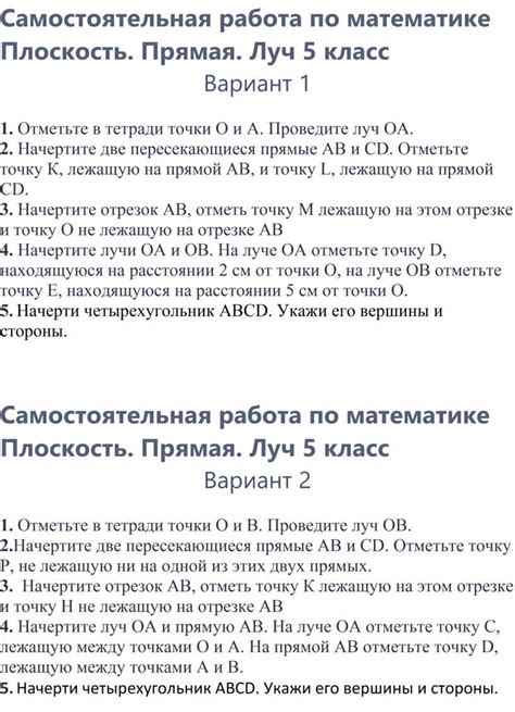 Математика 5 класс Самостоятельная работа «Плоскость Прямая Луч