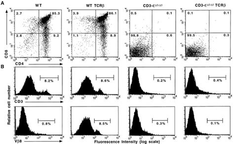 A Transgene Encoding A Productively Rearranged Tcr β Gene Does Not