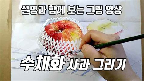 수채화로 포장 사과 그리기 수채화그리기 정물수채화 배경이 있는 그림 그리기기물고기아트 Youtube
