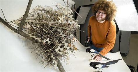 John Minehan On Linkedin Birds Have Co Opted Our Anti Bird Weapons In A Genius Counterattack