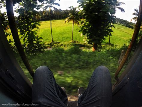 Shornur To Nilambur Train Journey Through The Green Tunnel