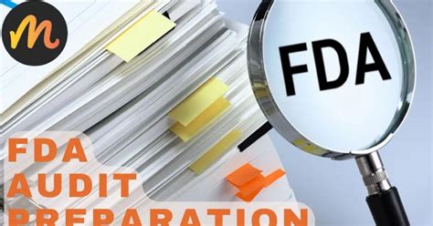 Fda Audit Preparation Mubarak Husen Patel