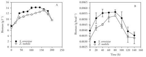 Average Increase Of Biomass For Saccharomyces Cerevisiae And Zymomonas Download Scientific