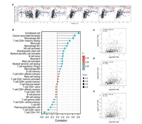 Relationship Between Cd93 And Immune Cells A Cd93 Significantly Download Scientific Diagram