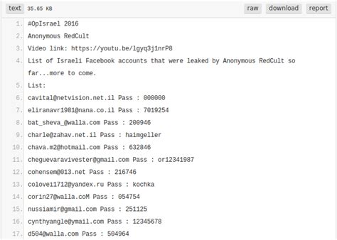 anonymous protesting to have hacked 1 000 s of facebook accounts