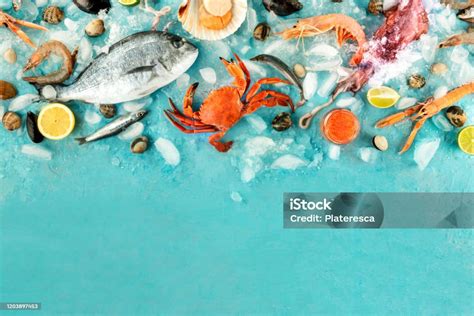 魚和海鮮一個平坦的平躺頂部拍攝與複製空間新鮮的魚蝦螃蟹魷魚貝類和蛤扇貝和魚子醬從上面拍攝的藍色背景 照片檔及更多 淡水魚 照片 Istock