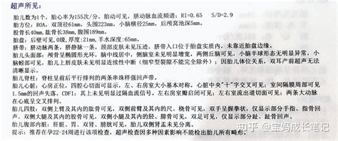 四维彩超单怎么看五 知乎
