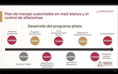 Plan piloto de maíz blanco en Tamaulipas propicia tránsito a la