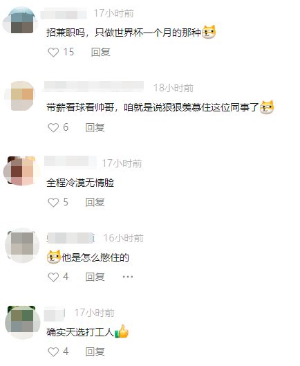 世界杯赛场惊现“淡定哥”，带薪看球、占据c位，他是怎么做到的？tom资讯