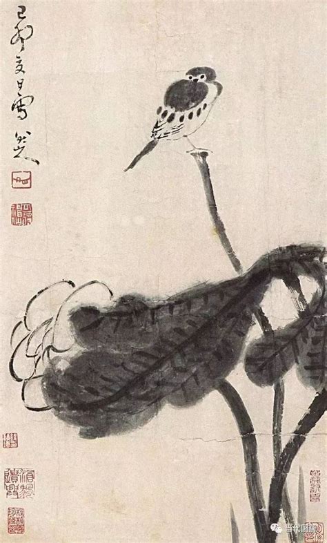 八大山人花鸟画，一花一鸟皆是悲啼！手机搜狐网