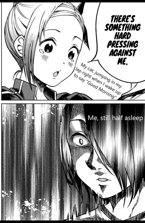 Owo Whats This Ranimemes