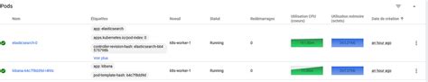 The Magic Way To Deploy A Lightweight Elastic Search And Kibana Cluster