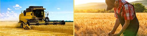 Зерно Покупка и продажа зерна 2025 ВКонтакте