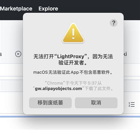 Macos M Mac Issue Alibaba Lightproxy Github
