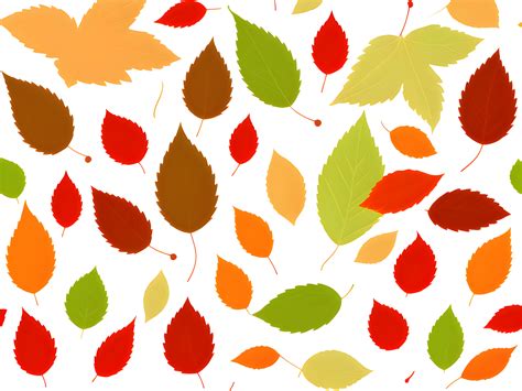 Free Group Of Different Colored Leaves Autumn Leaves Background Leafs