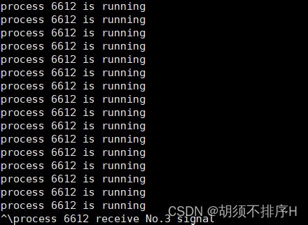 Linux 信号的处理与捕捉 linux程序退出信号捕捉 CSDN博客